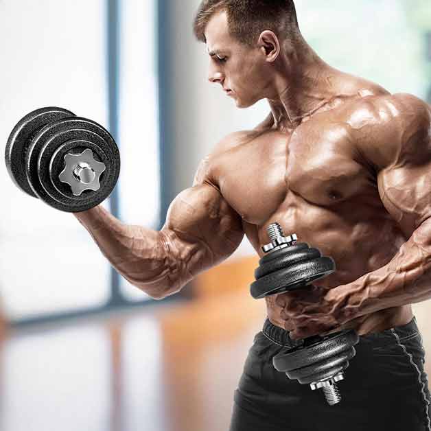 Body Building – AMONAX